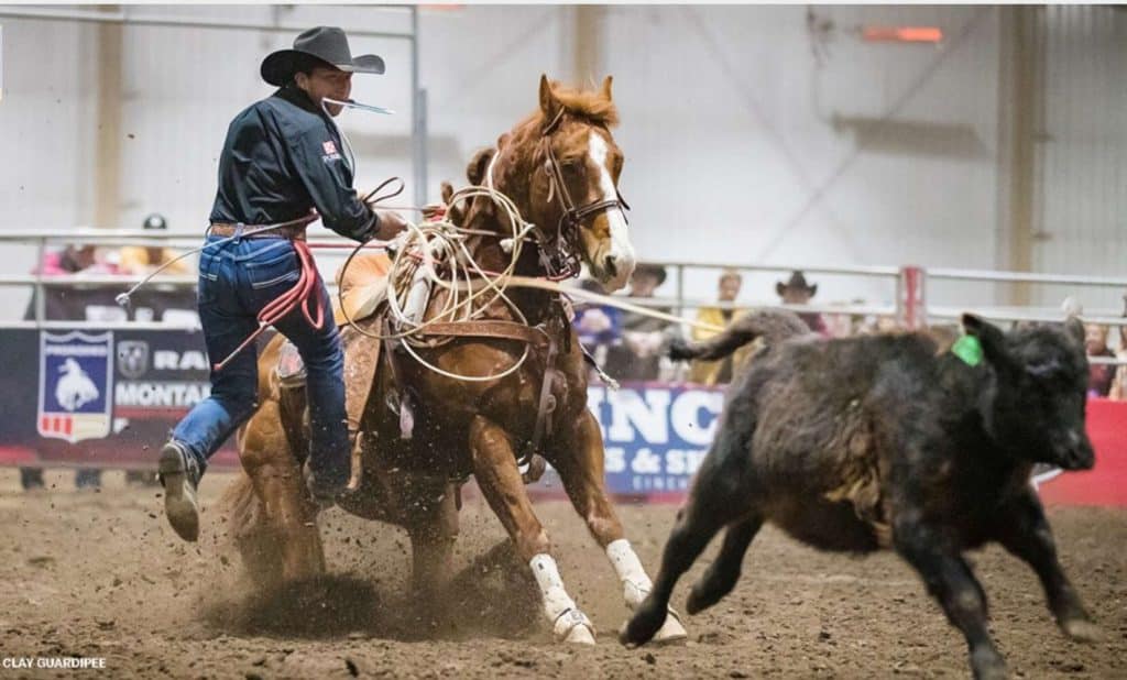 Haven Meged wins average at RAM Montana Circuit Finals Rodeo | TSLN.com