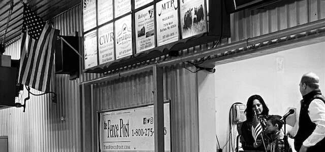 Rafter T Angus ‘the Brand Built on Proven Cow Families & Performance ...