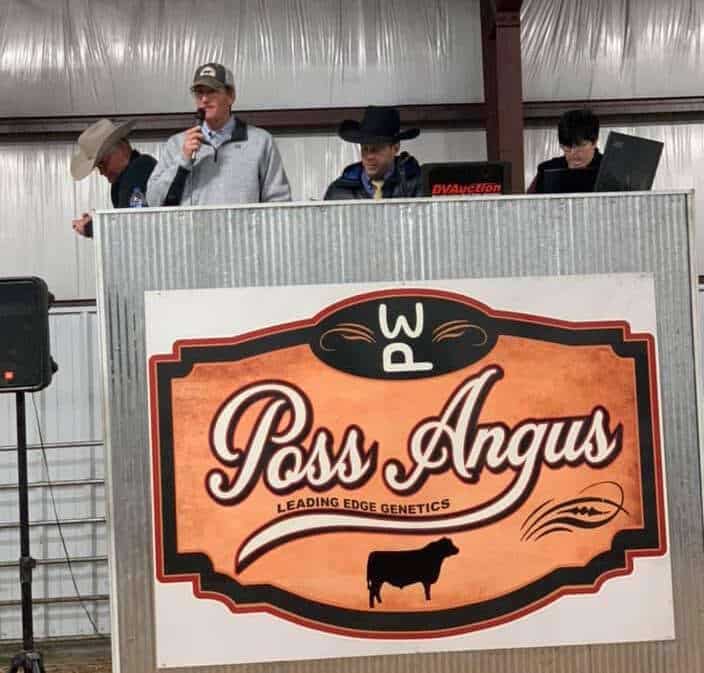 Sale Report: Poss Angus | TSLN.com