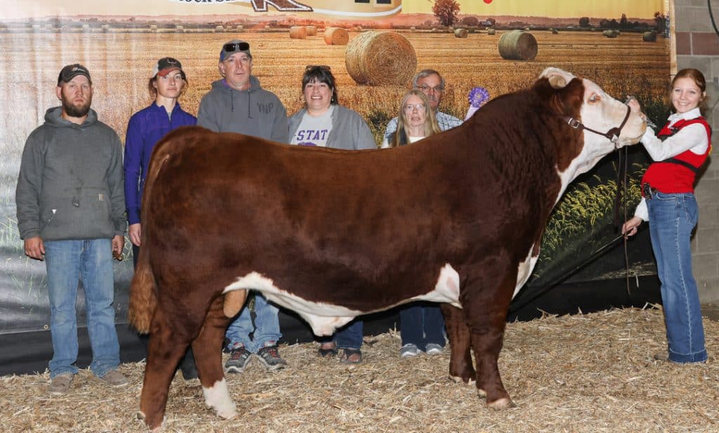 NILE Hereford Show | TSLN.com