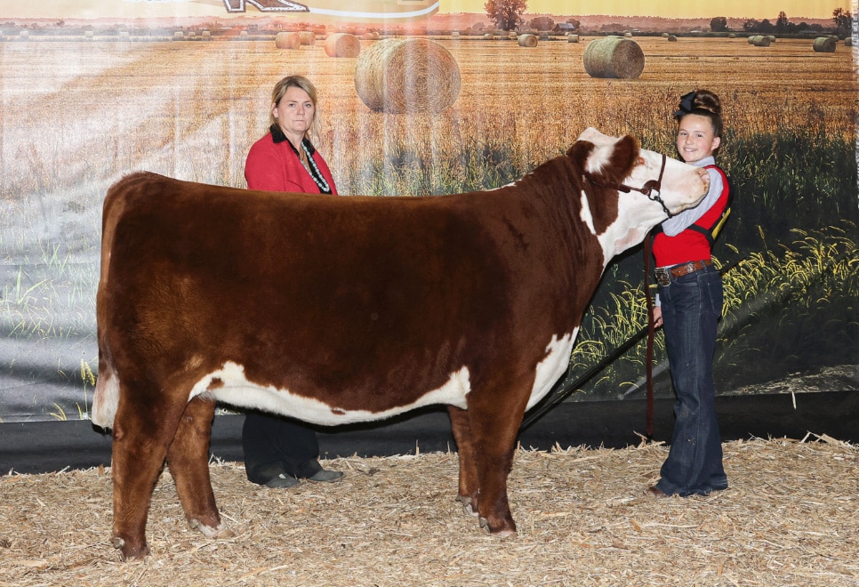 NILE Hereford Show | TSLN.com