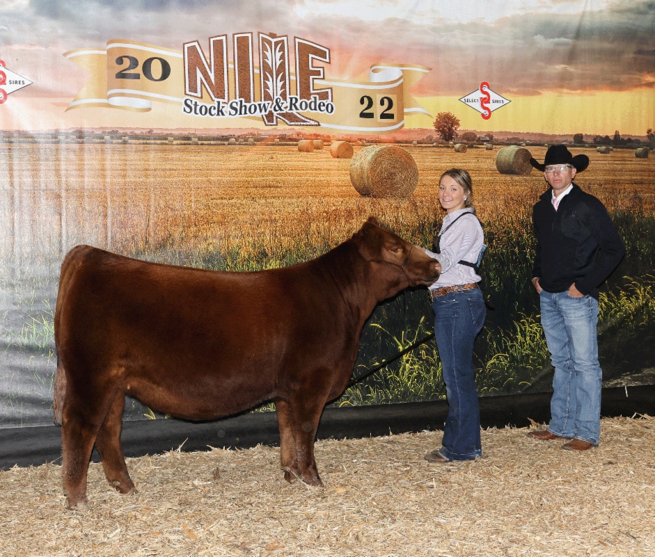 Nile Jr Red Angus Show | TSLN.com