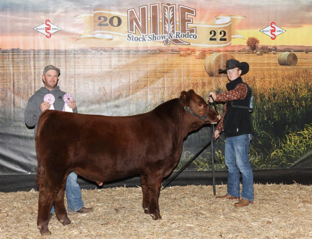 Nile Jr Red Angus Show | TSLN.com
