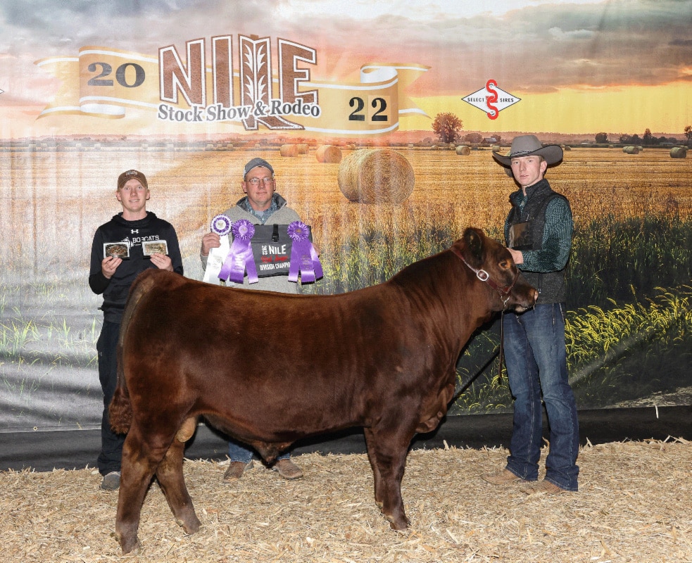 Nile Jr Red Angus Show | TSLN.com
