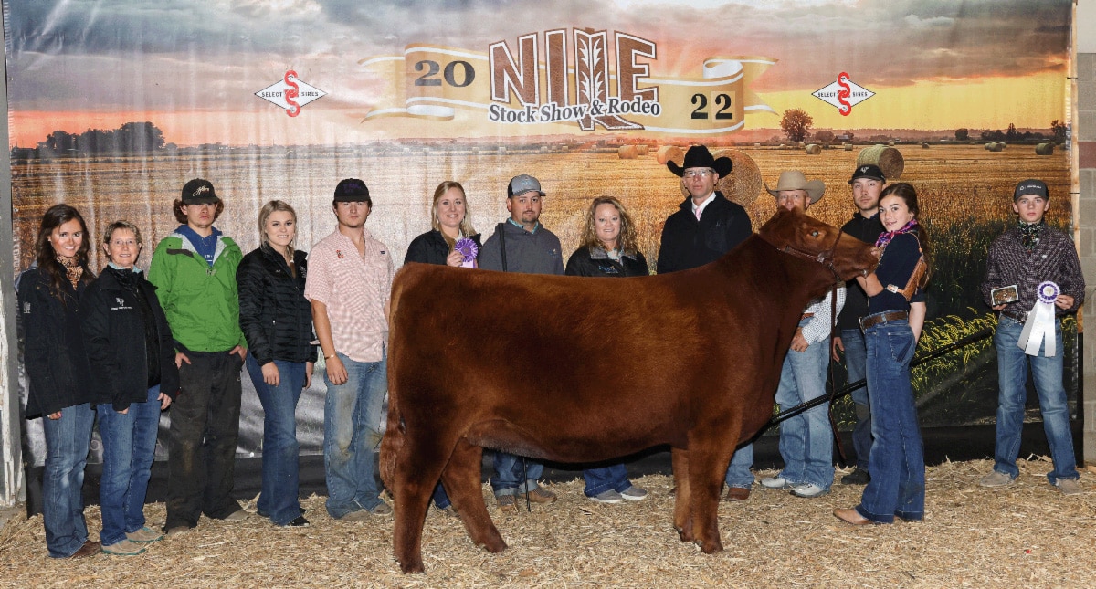 Nile Jr Red Angus Show | TSLN.com