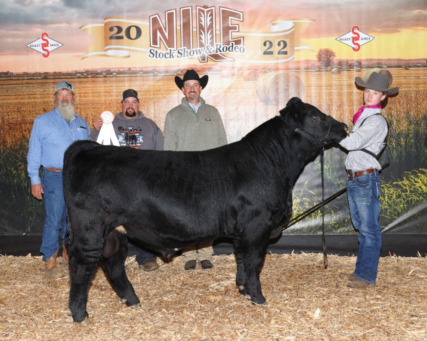 NILE Simmental Show | TSLN.com