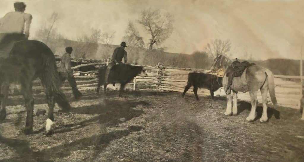 Remembering Alonzo ‘Lon’ Stepp and family | TSLN.com