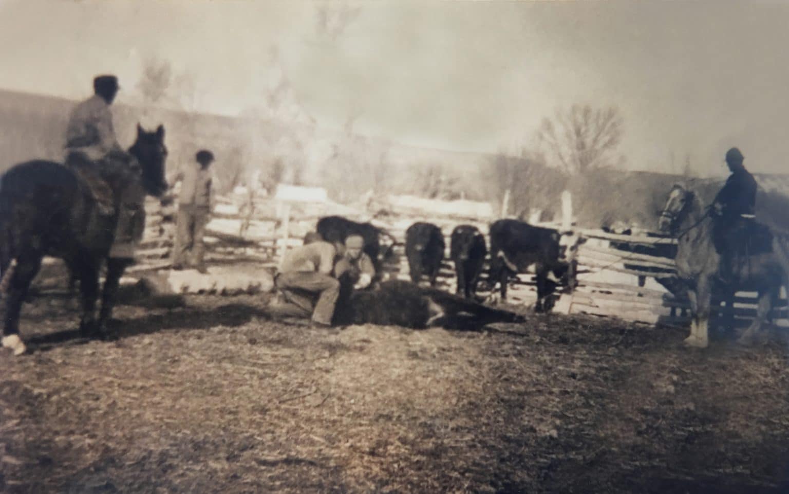 Remembering Alonzo ‘Lon’ Stepp and family | TSLN.com