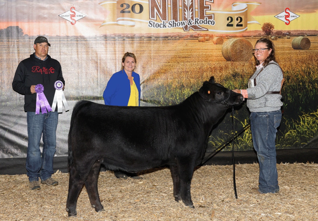 The NILE Gelbvieh/Balancer Show | TSLN.com