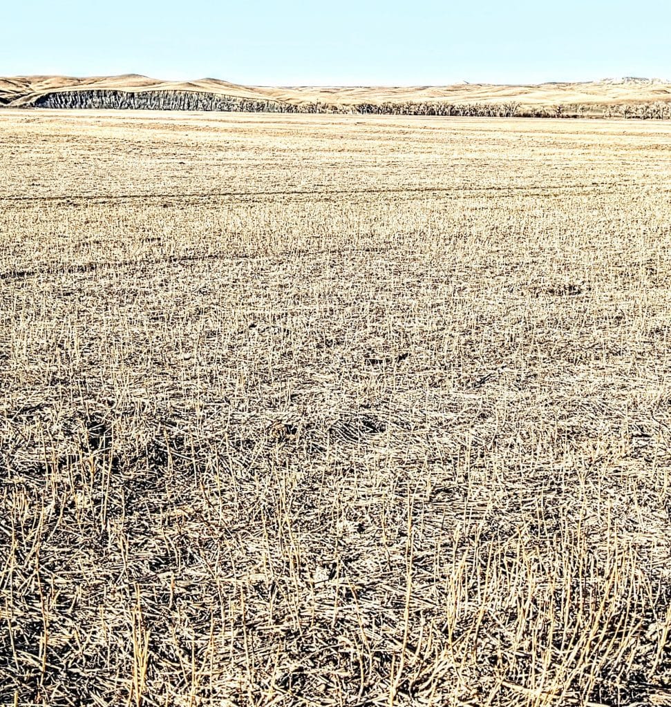One Day Closer to Rain: Drought deepens across much of the United ...
