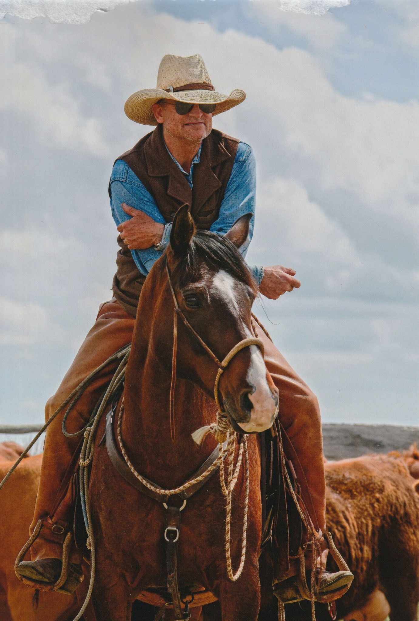 ‘Earl’ cartoonist Wally Badgett honored for Western Art | TSLN.com