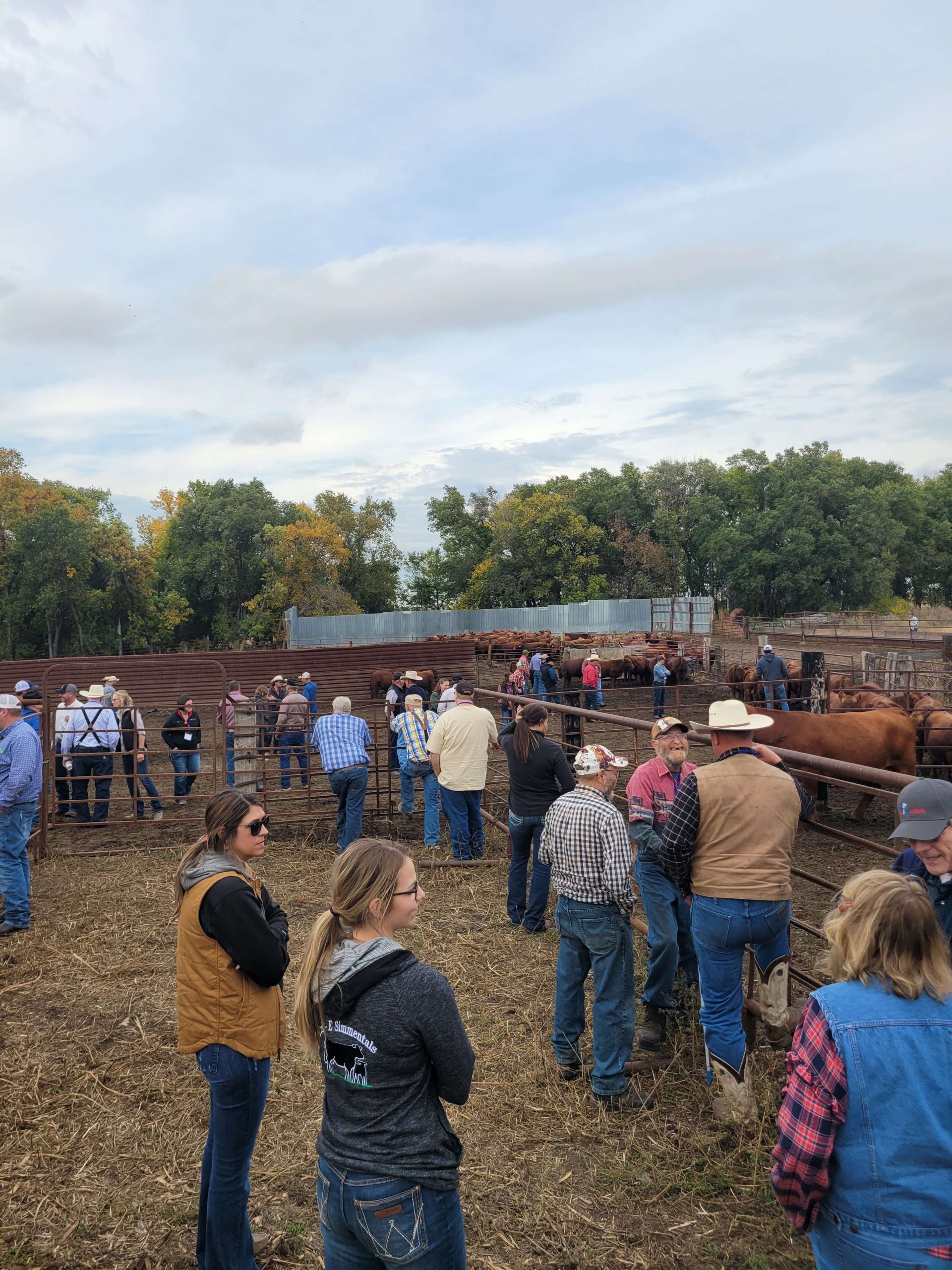North Dakota Stockmen’s hosts all breeds cattle tour | TSLN.com