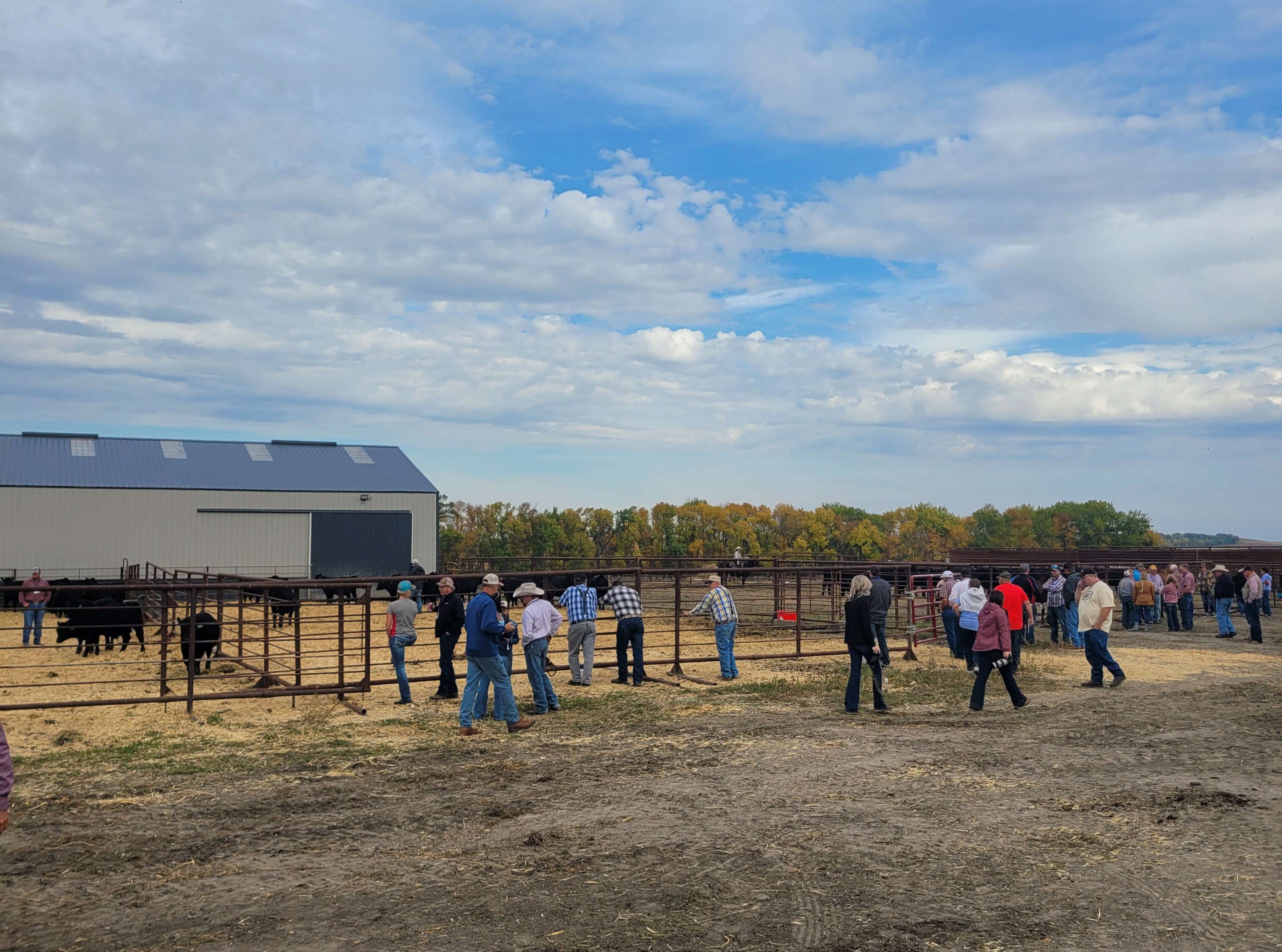 North Dakota Stockmen’s hosts all breeds cattle tour | TSLN.com