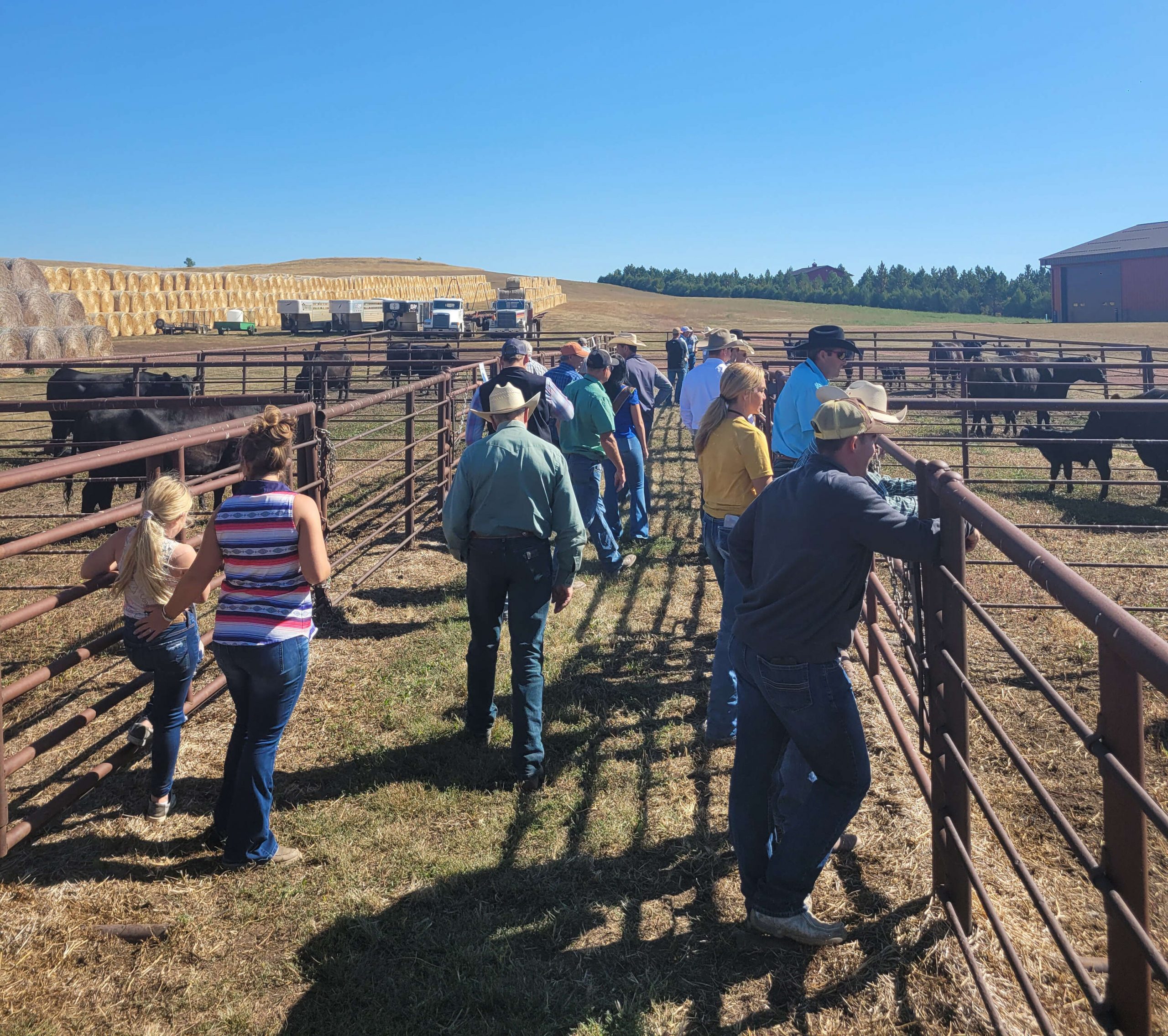 North Dakota Fall Angus Tour held Sept. 17-19 | TSLN.com