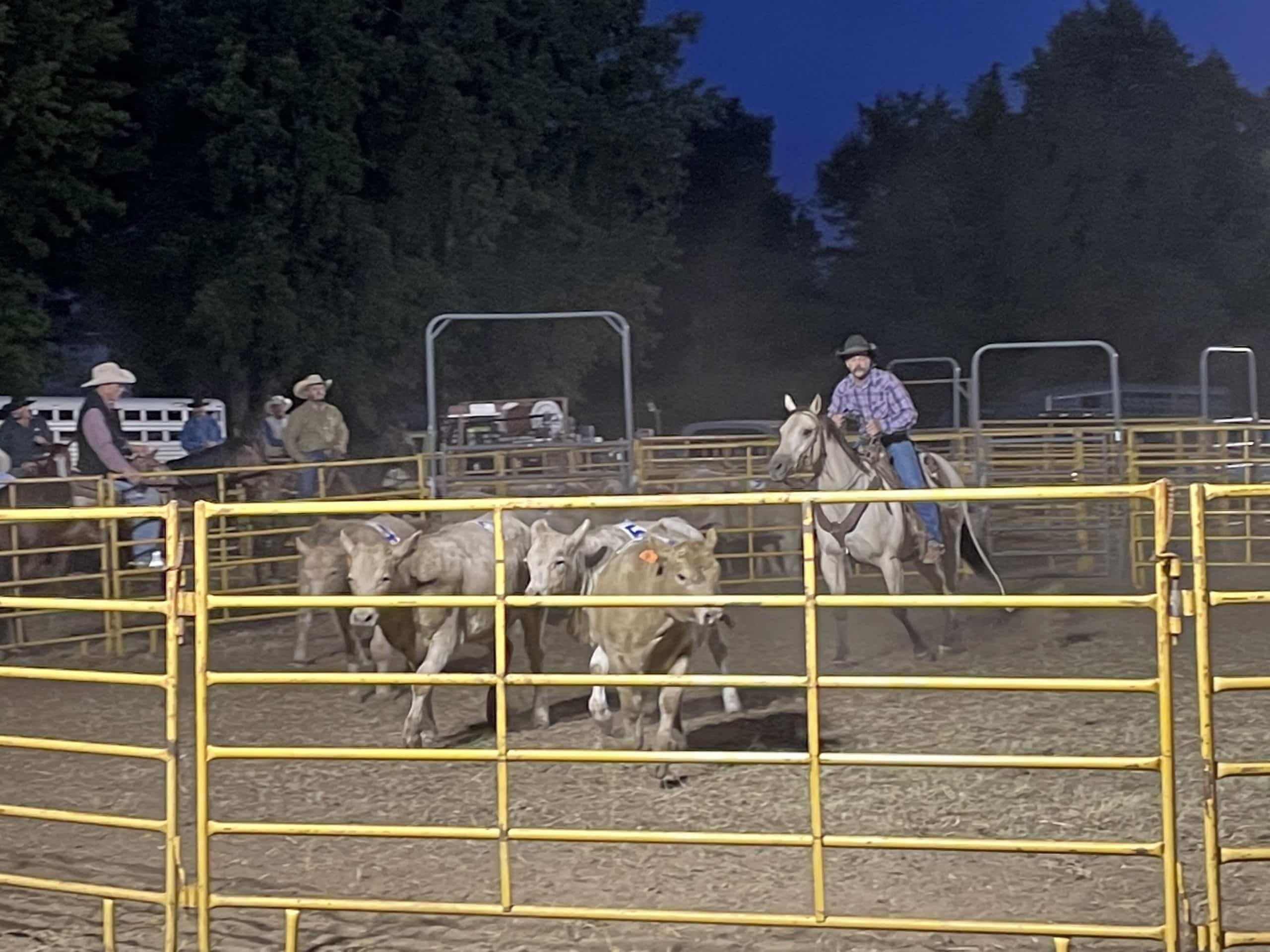 Durner wins horse races at Wellfleet Fall festival | TSLN.com