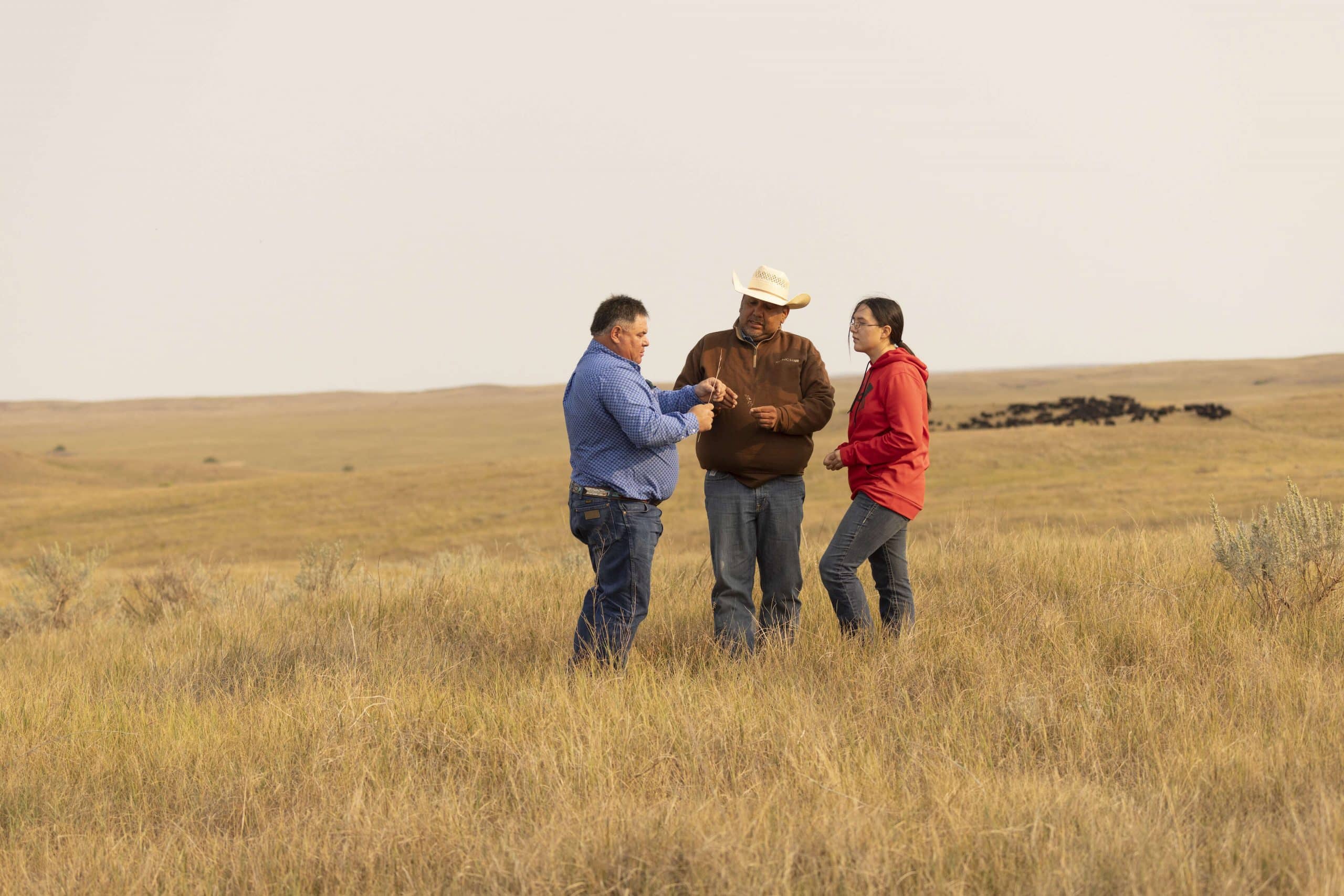 Six-Part Series: Drought-proof your Ranch | TSLN.com