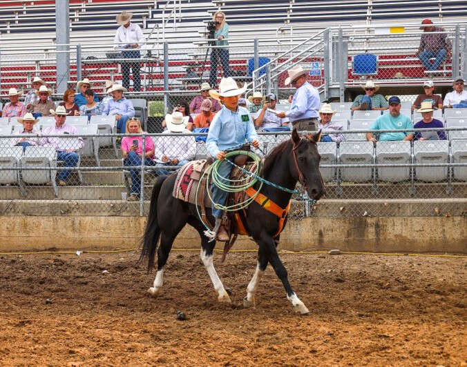 Report: AK Horse Sale | TSLN.com