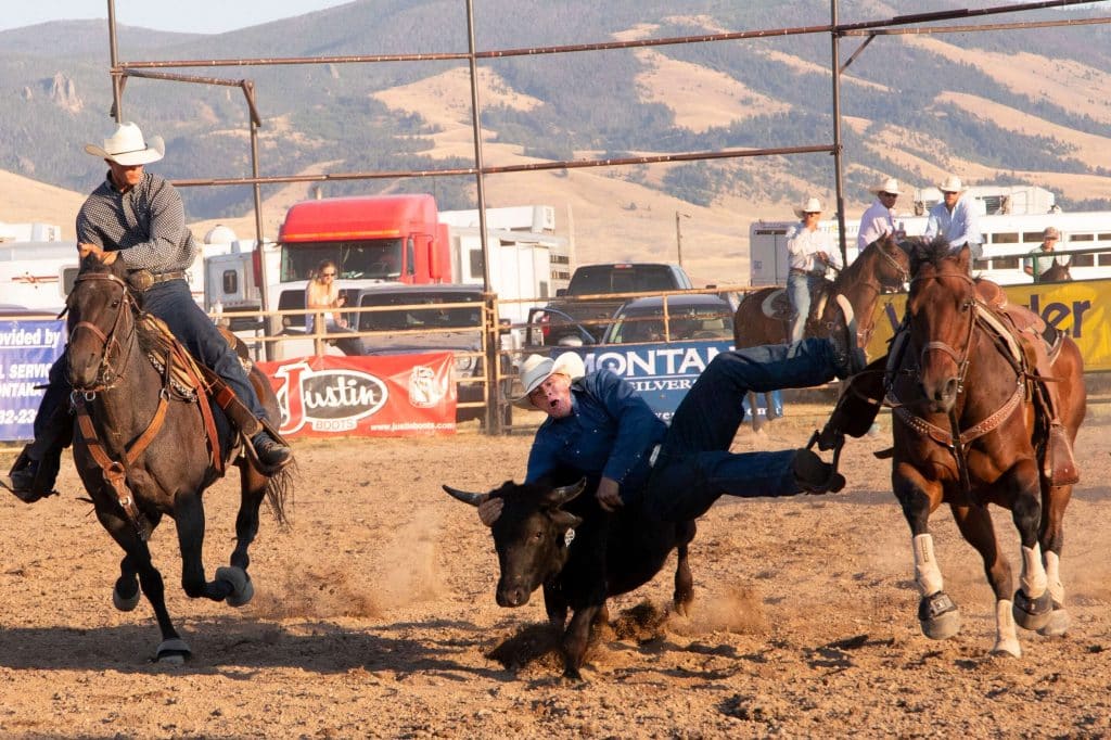 Showtime: Montana Norwegian rancher documentary to premiere soon | TSLN.com