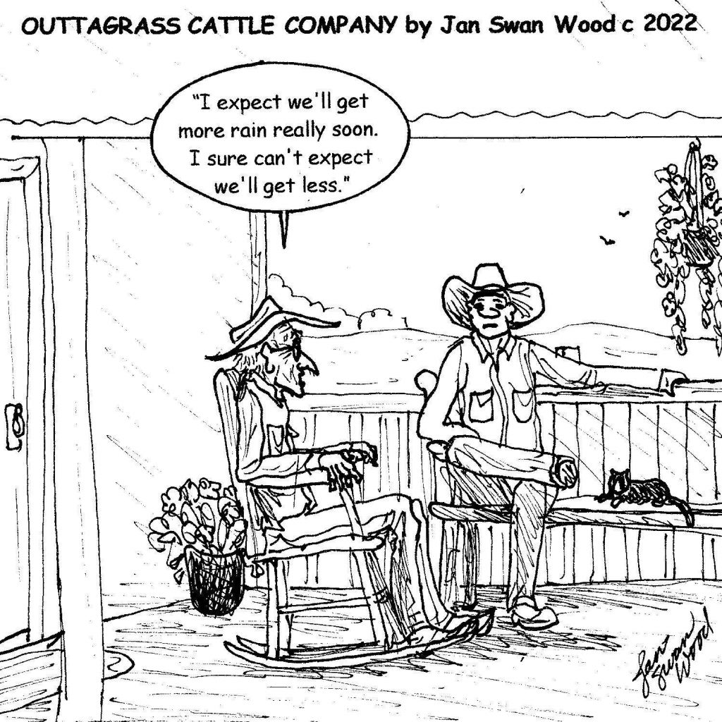 Outtagrass Cattle Co. cartoon by Jan Swan Wood | TSLN.com