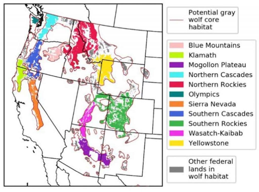 Multi-Pronged Campaign Pushes Wolf Population Expansion | TSLN.com