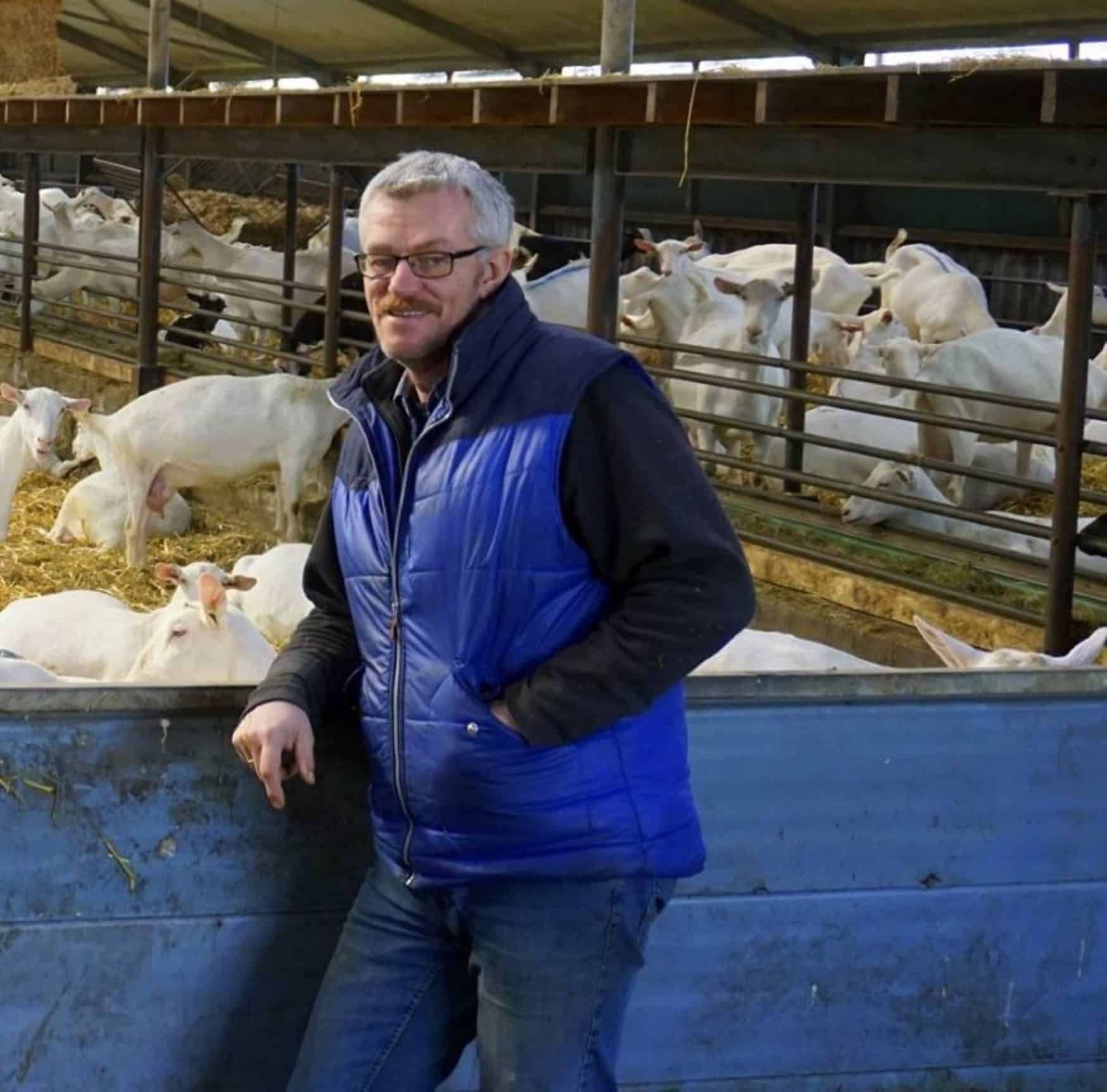Food control: Dutch farming on the verge of a disaster as government ...