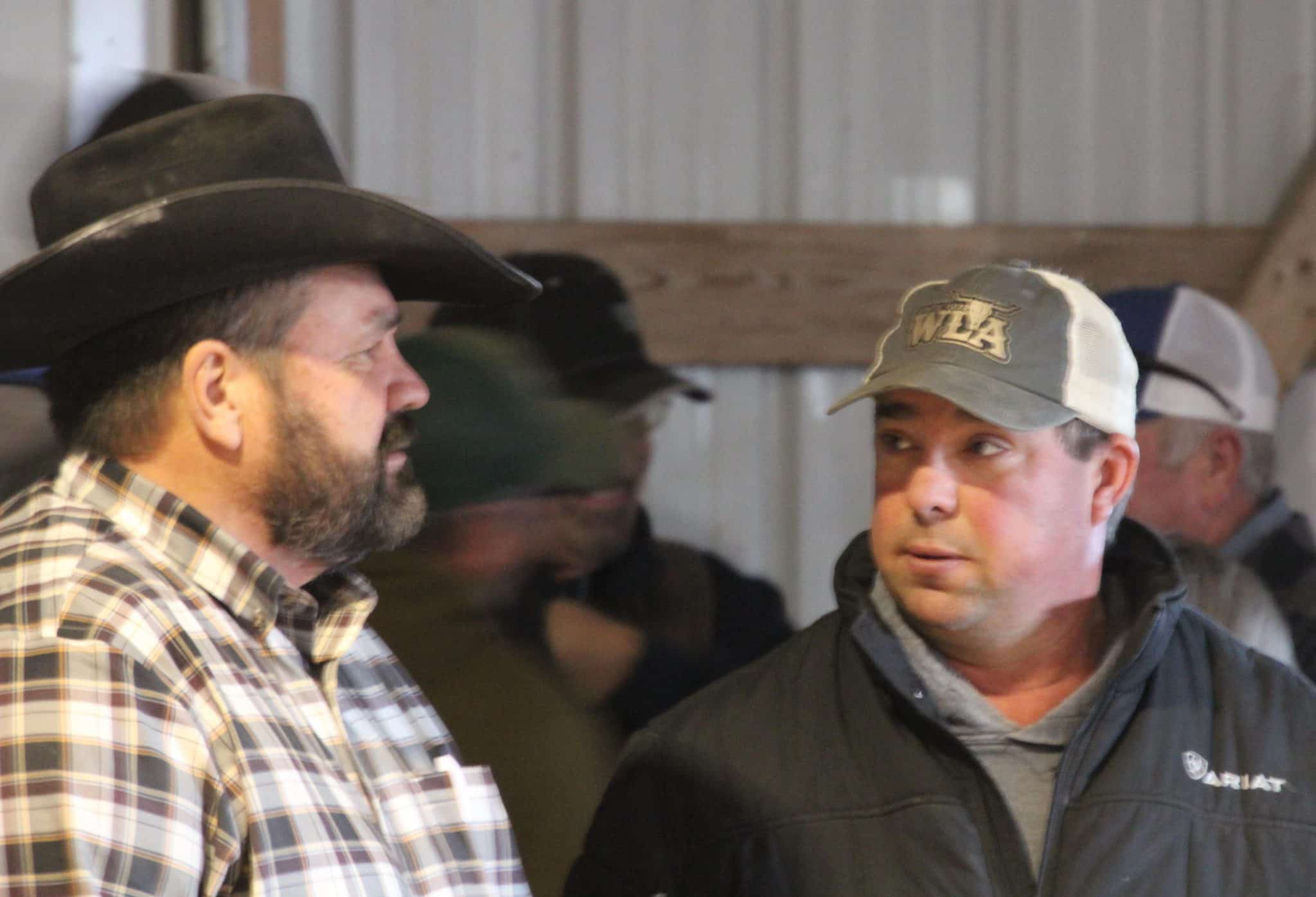 Raven Angus Annual Customer Appreciation Bred Heifer Sale | TSLN.com