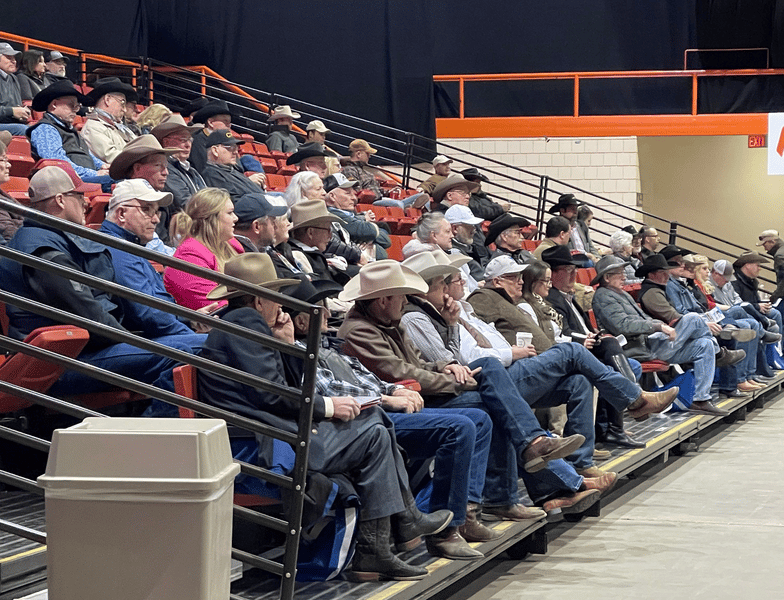 Continuing the Conversation — The Need for Unity in the Cattle Industry ...