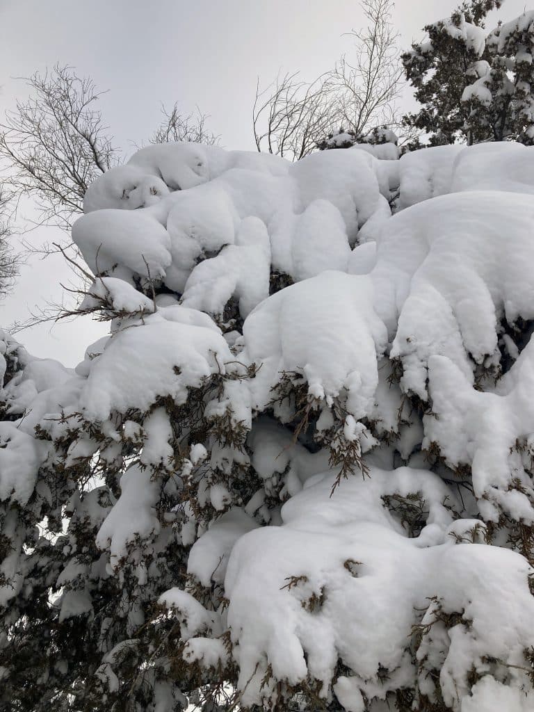 Nebraska: Record snowfall in North Platte | TSLN.com