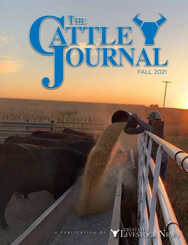 Fall Cattle Journal 2021 | TSLN.com