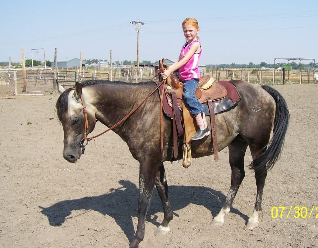‘Our greatest blessing:’ Kids and horses | TSLN.com