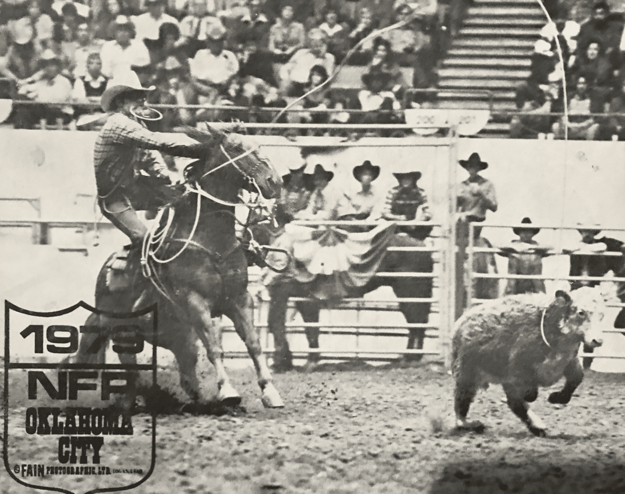 Stallion Showcase 2023: Rodeo runs deep in the Tierney family | TSLN.com