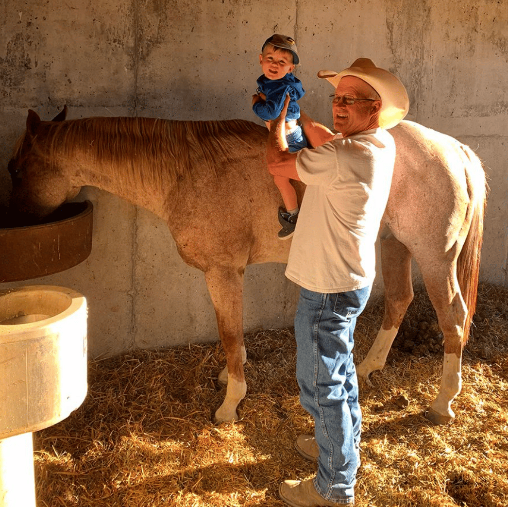 Stallion Showcase 2023: Krogman Quarter Horses is a one-stop shop ...