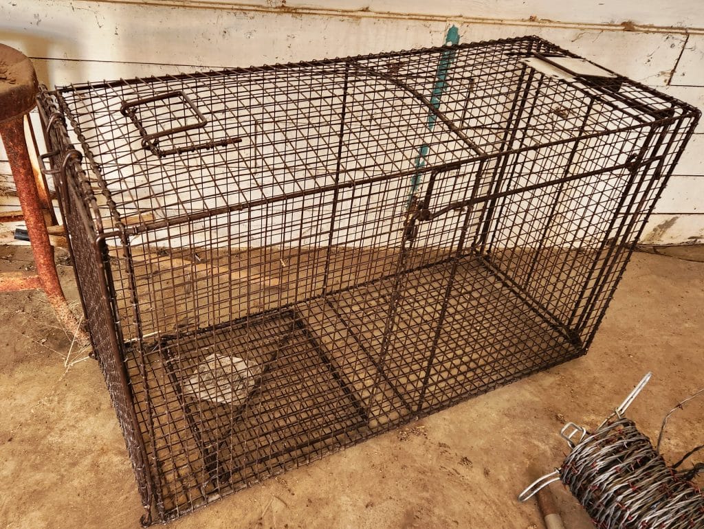 The Great Catch: A true story of recent history | TSLN.com