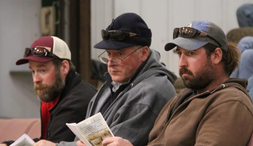 Stout Charolais 44th Annual Production Sale | TSLN.com