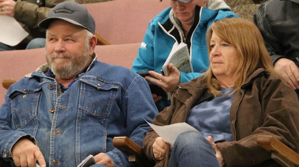 Stout Charolais 44th Annual Production Sale | TSLN.com