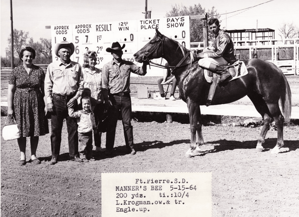 Stallion Showcase 2023: Krogman Quarter Horses is a one-stop shop ...