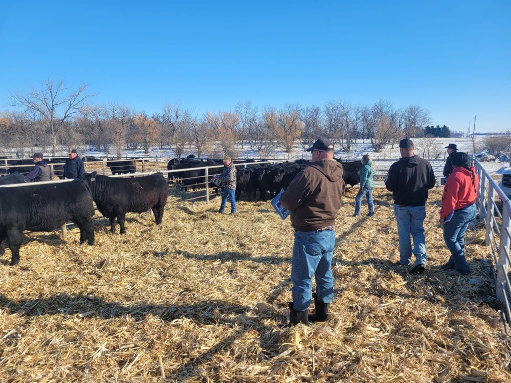 Frey Angus Ranch 48th Annual Production Sale | TSLN.com