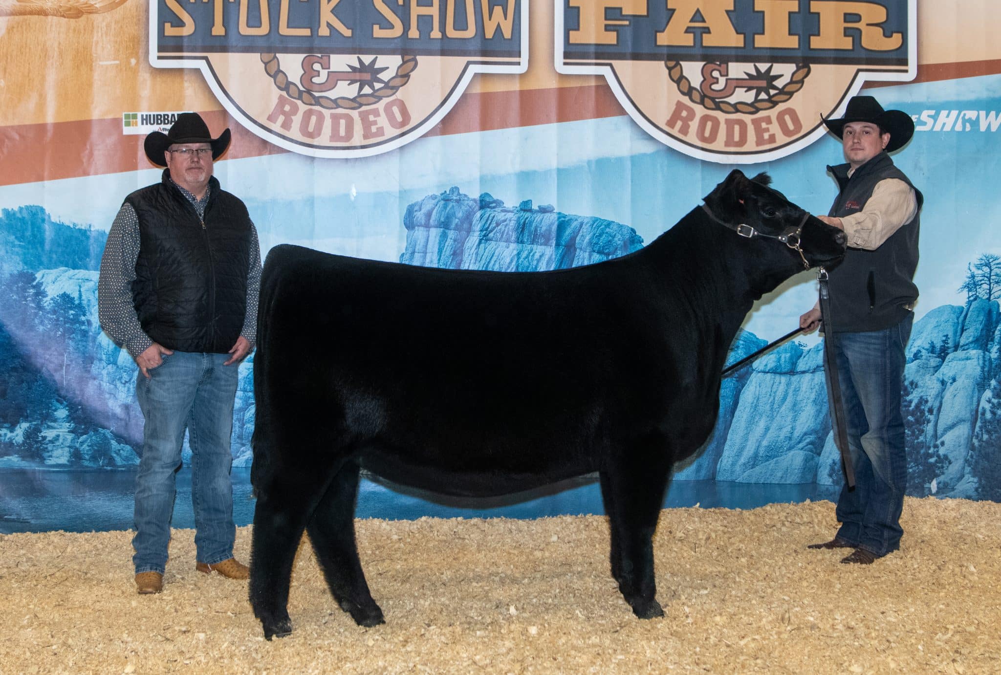 BHSS Angus Show | TSLN.com