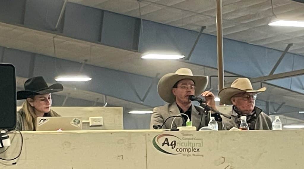 Flying M Angus | TSLN.com