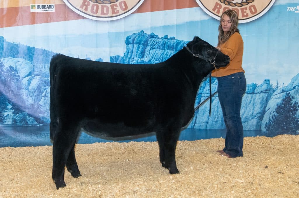 BHSS Angus Show | TSLN.com