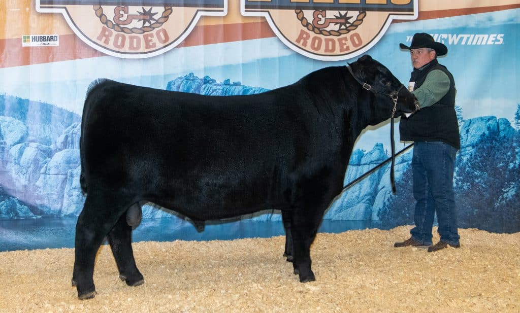 BHSS Angus Show | TSLN.com