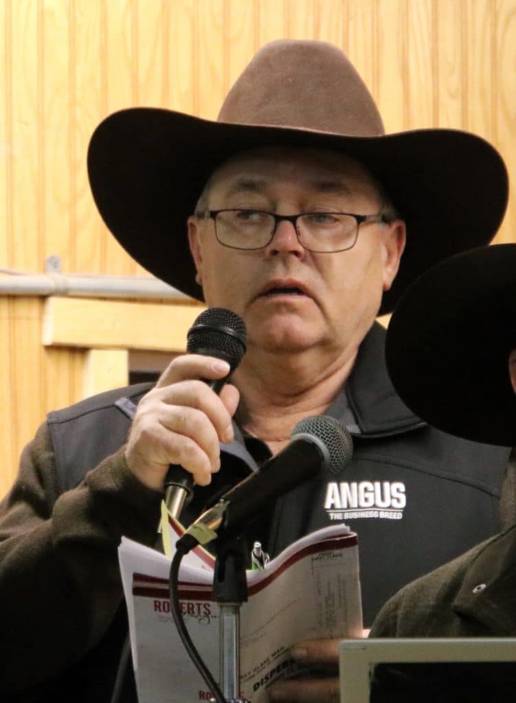 Roberts Angus Dispersal Sale | TSLN.com