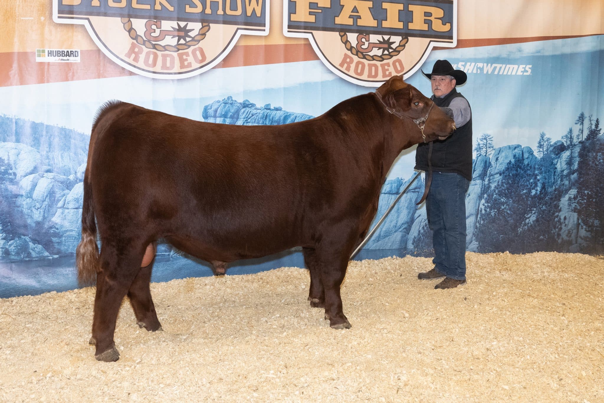 BHSS Red Angus Show | TSLN.com