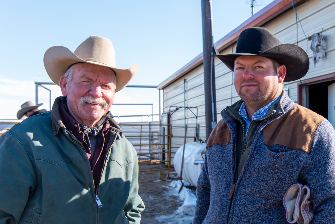 Van Newkirks Herefords 50th Annual Bull Sale | TSLN.com