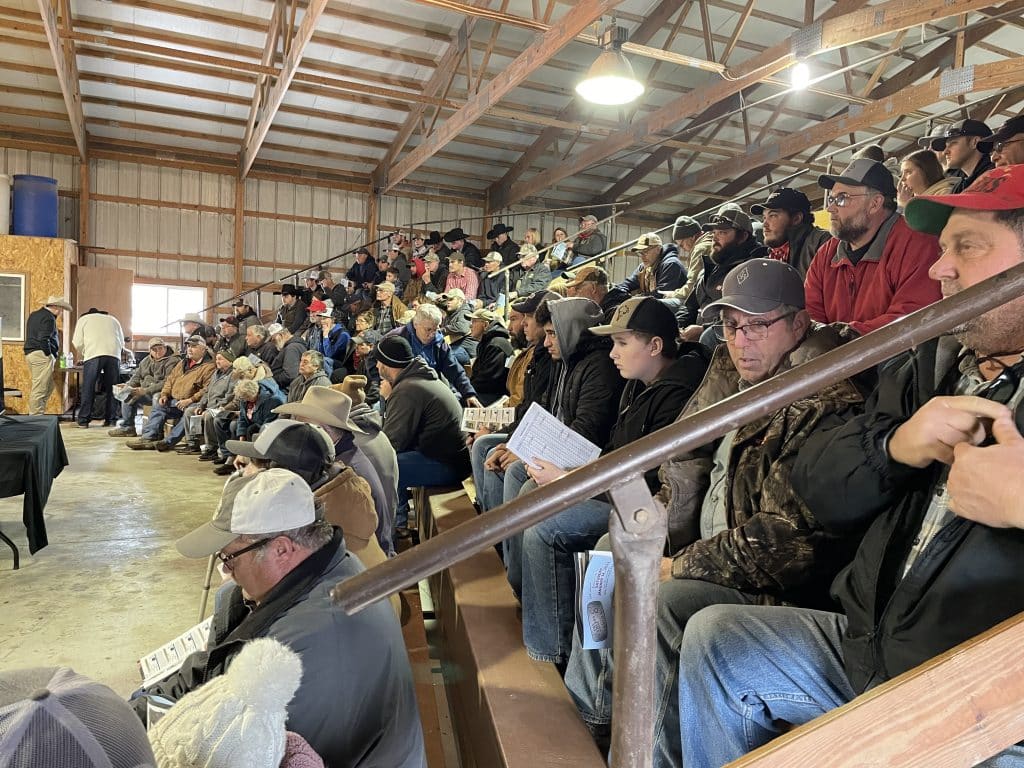 Carl Dethlefs and Sons 55th Annual Production Sale | TSLN.com