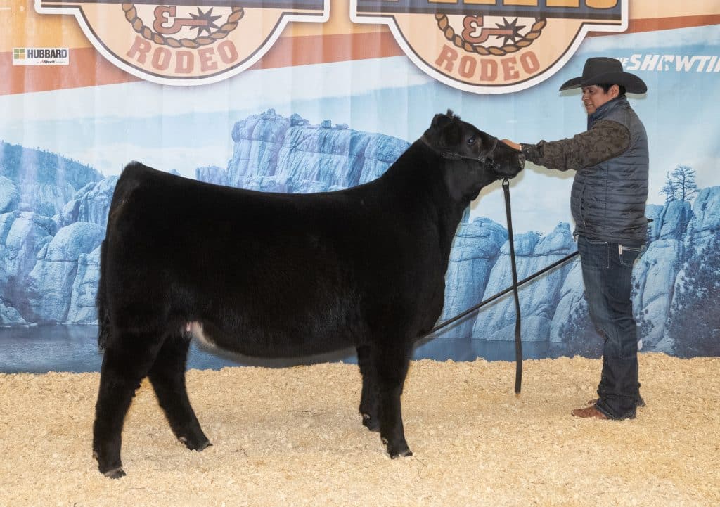 BHSS Maine Anjou Show | TSLN.com