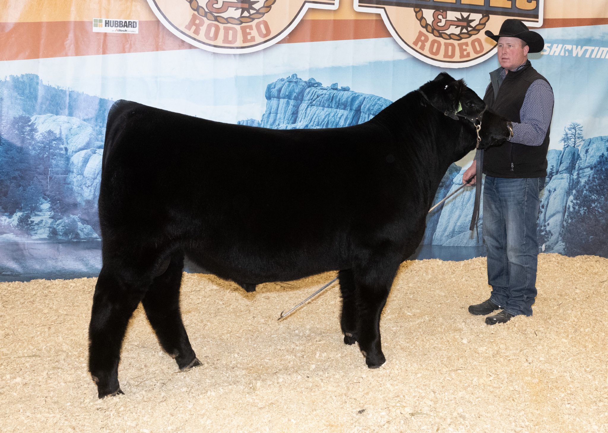 BHSS Simmental Show | TSLN.com