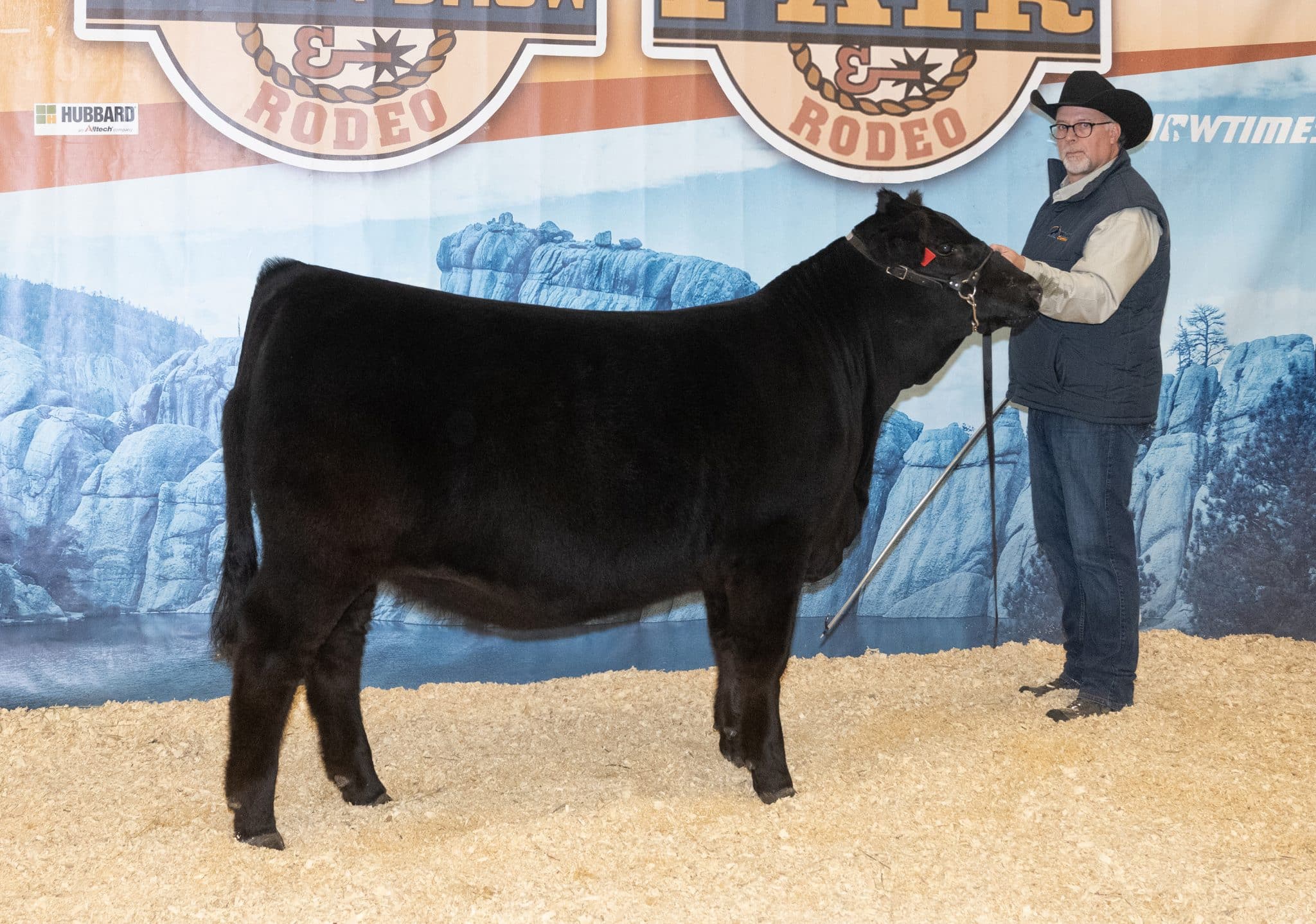 BHSS Limousin Show | TSLN.com