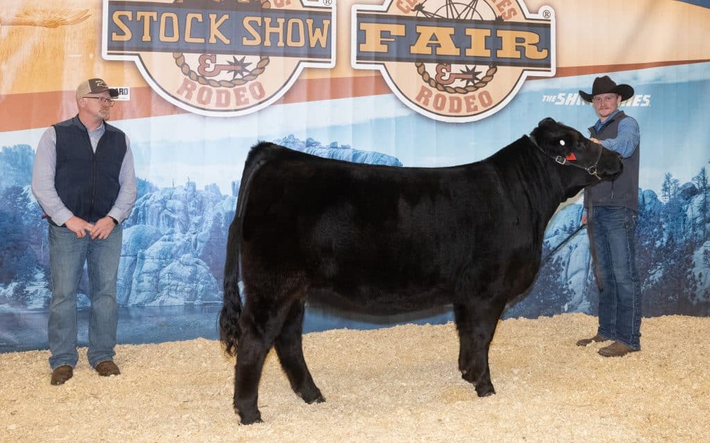 BHSS Limousin Show | TSLN.com