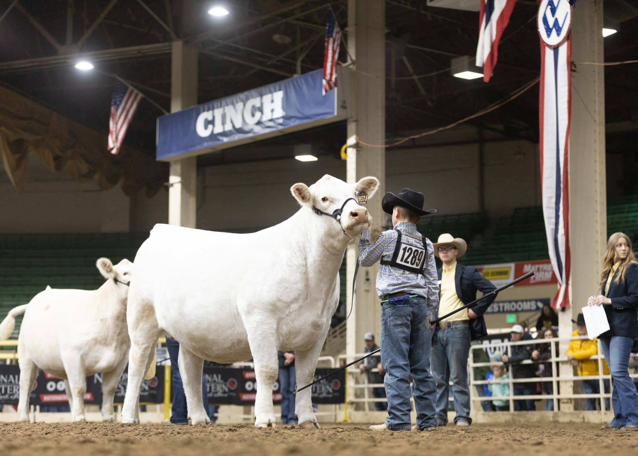 Hoffman Ranch: ‘Our Cattle Have to Work in the Real World’ | TSLN.com